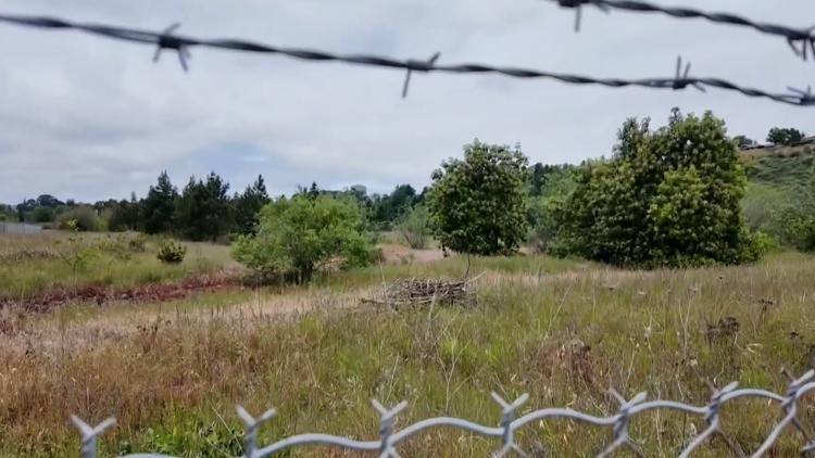 Proposed botanical garden could transform former North Portland ...