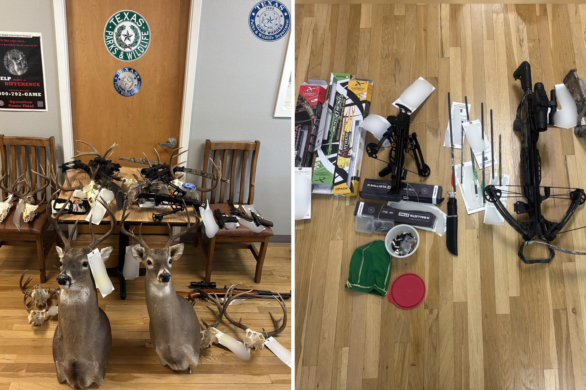 Reckless hunter arrested after 13 decapitated deer carcasses appear on ...