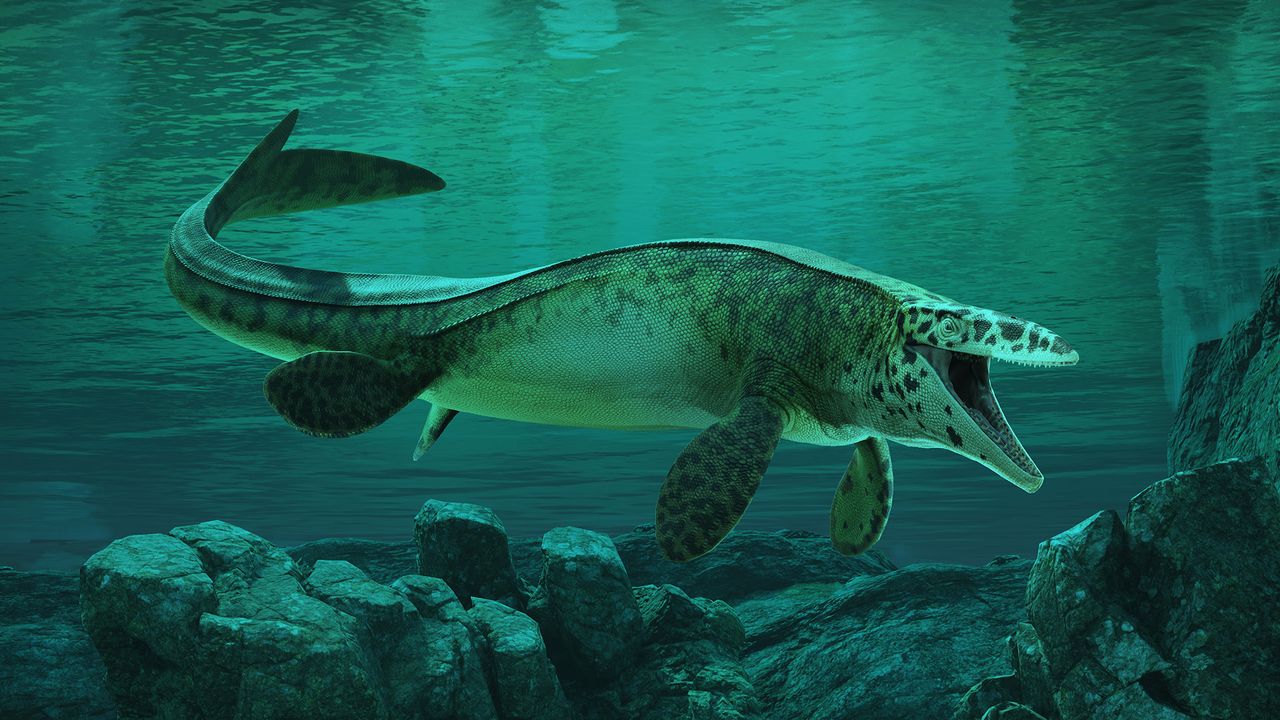 There's a new T rex from the dinosaur age — and it ruled the seas with ...