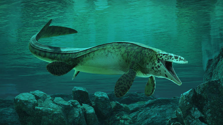 There's a new T rex from the dinosaur age — and it ruled the seas with ...