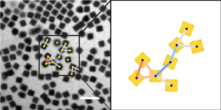 Complexity isn't subjective—the right amount results in new material ...