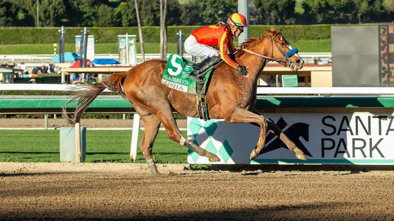 Bob Baffert trainee Usha faces seven rivals in Winning Colors Stakes