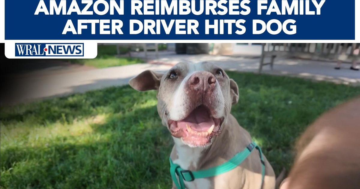 Family reimbursed thanks to 5 on Your Side after Amazon delivery driver ...