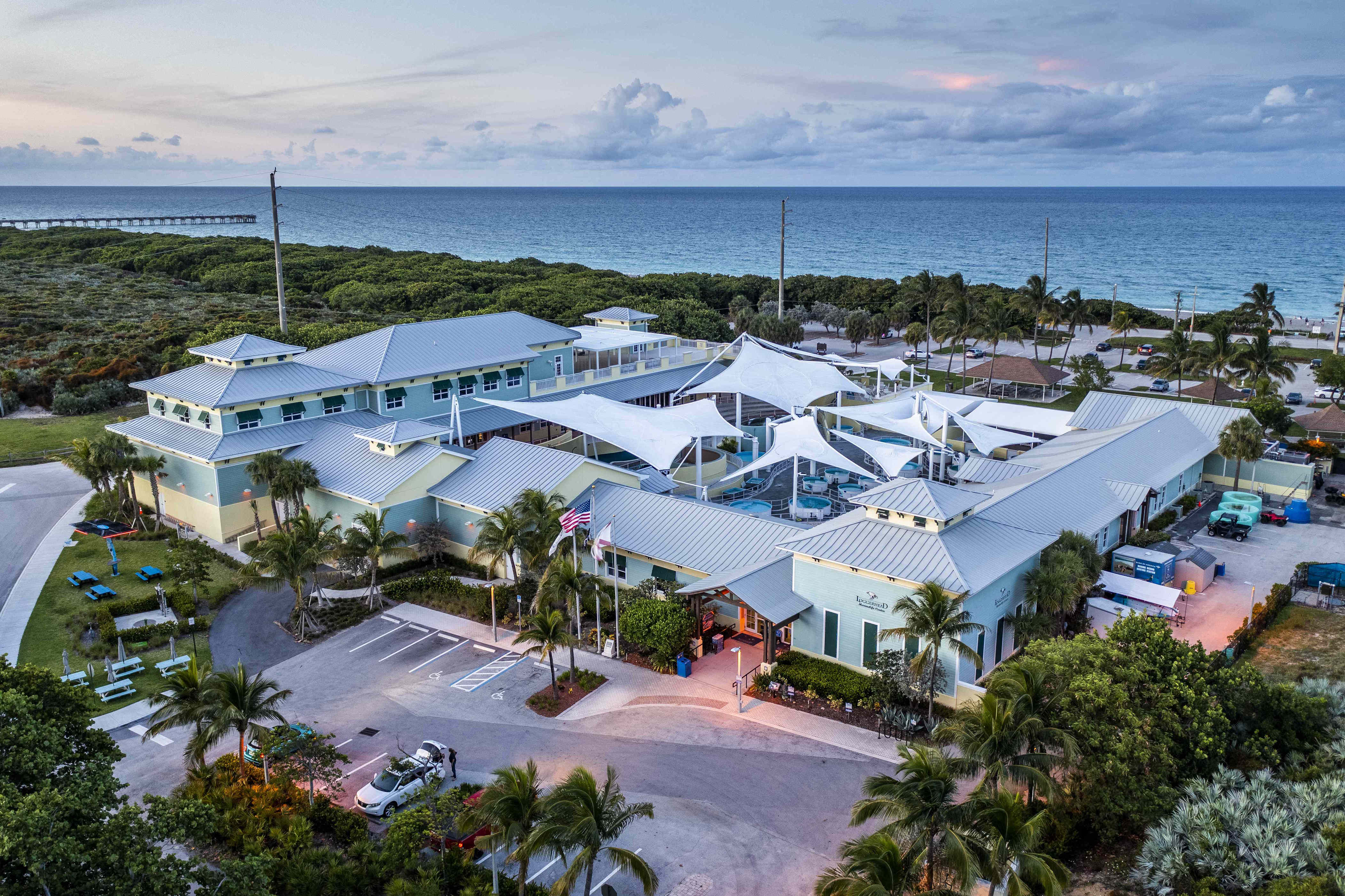 This Florida sea turtle rescue center offers a rare up-close look at ...