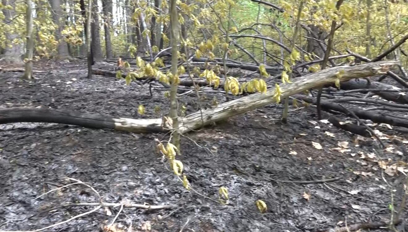 Brush fire near Claremont railroad tracks deemed suspicious