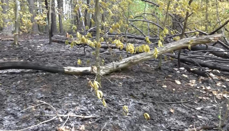 Brush fire near Claremont railroad tracks deemed suspicious