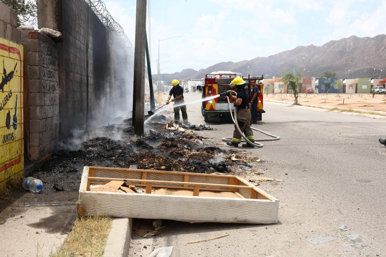 Incendio en la Nuevo Hermosillo: Perrita “Negrita” se esconde bajo la ...