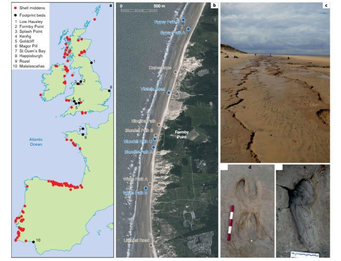 Archaeologists uncover a forgotten superhighway covered with 8,000-year ...