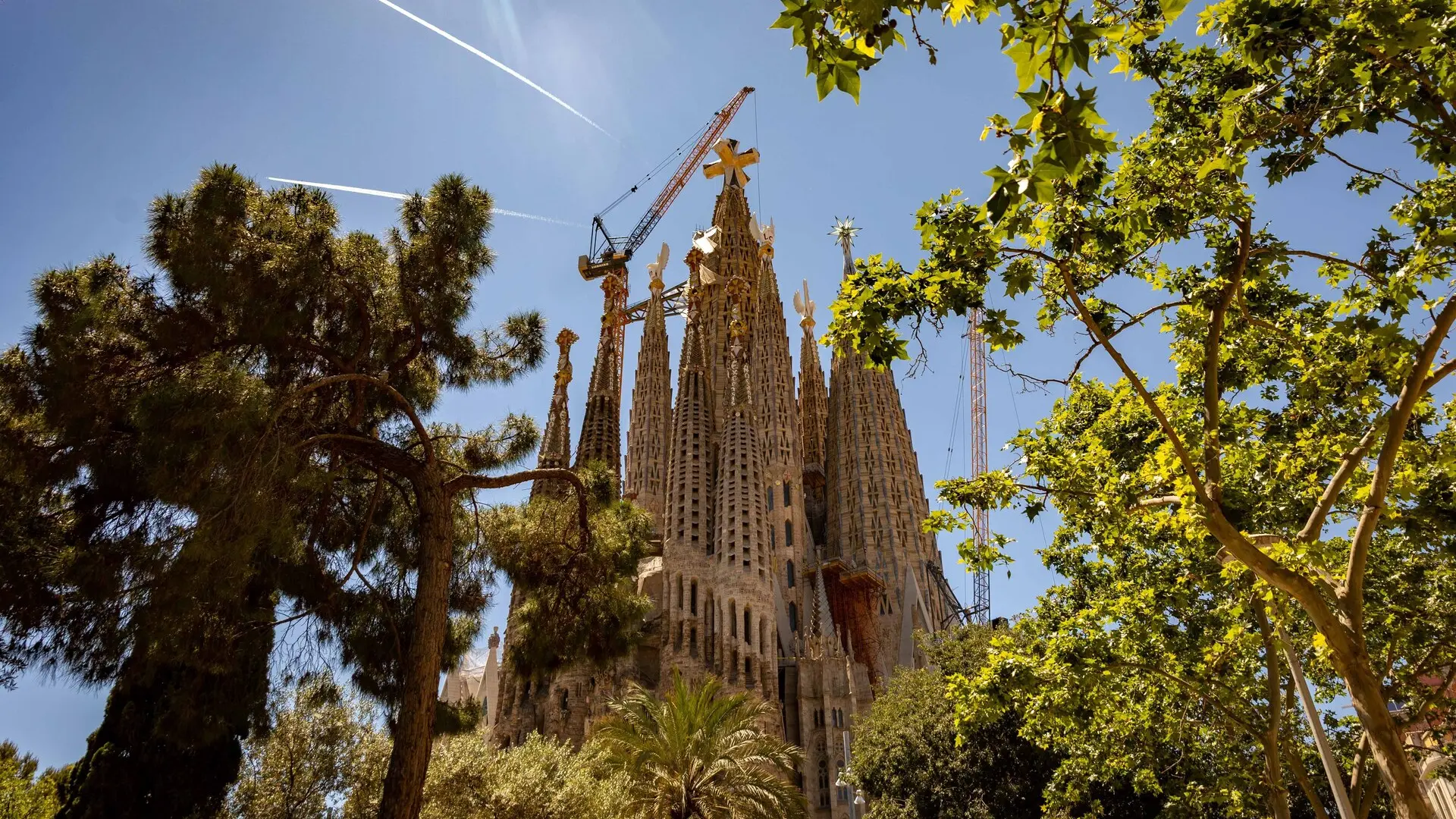 Acaba la reurbanización de la calle Marina, en la Sagrada Familia, a ...