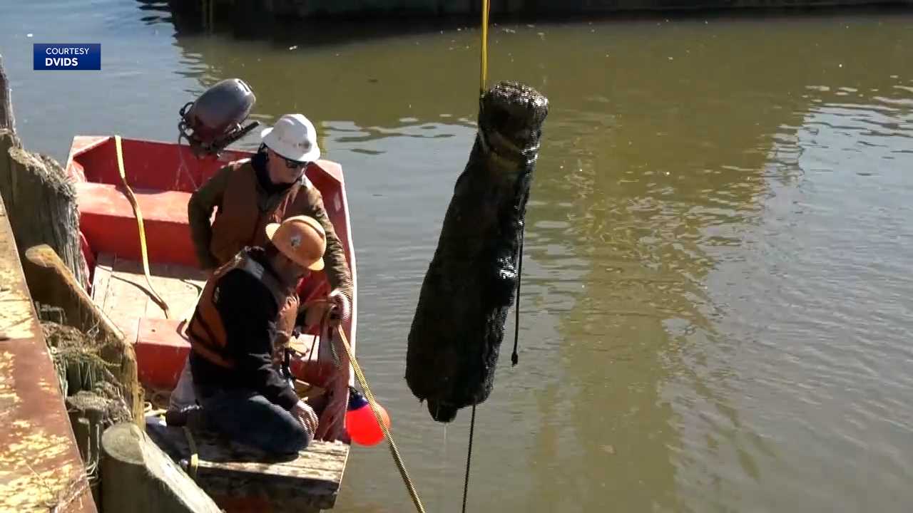 Restored Revolutionary War cannons found in Savannah River are set to ...