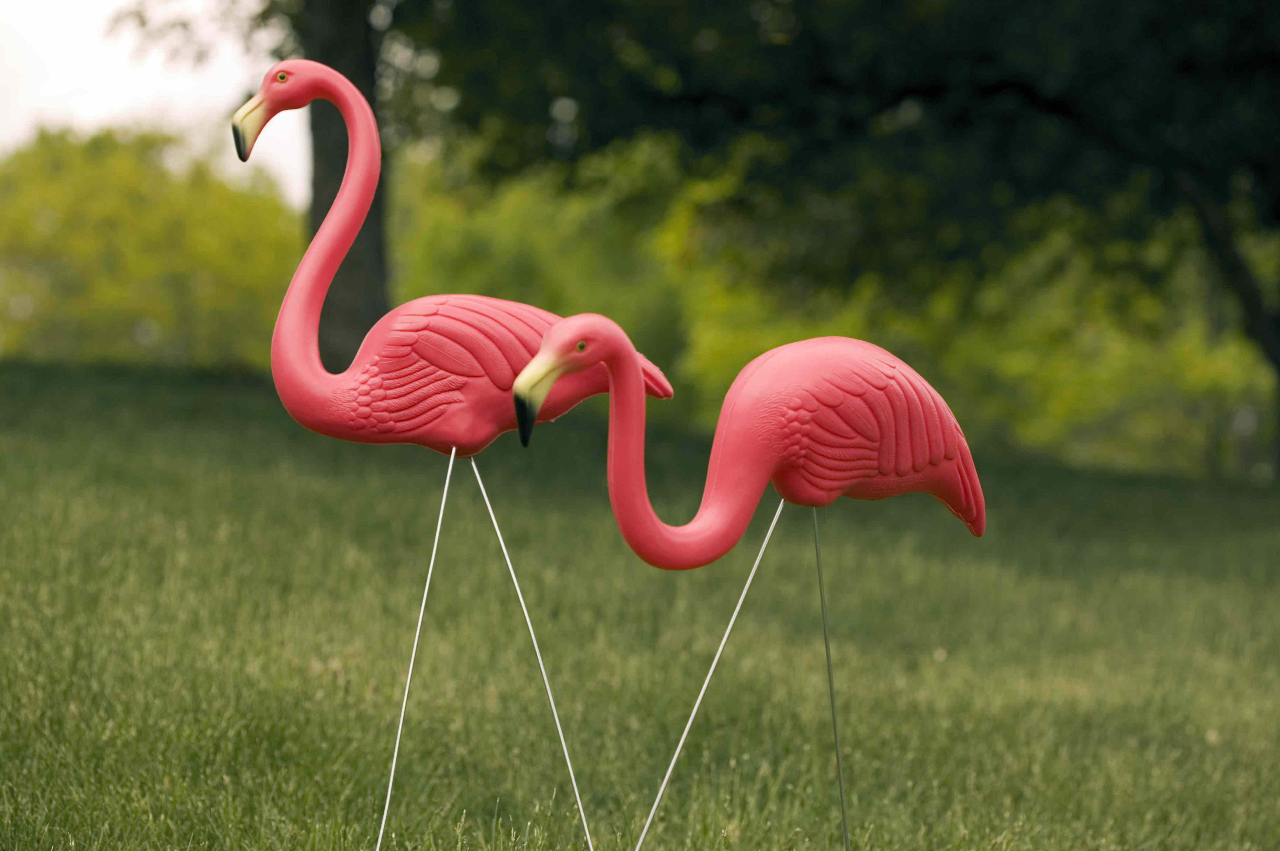 7 things that make your front yard look tacky, according to designers