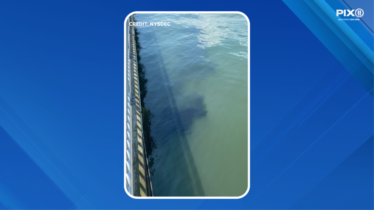 Are NY beaches affected by the 30,000-gallon sewage spill?