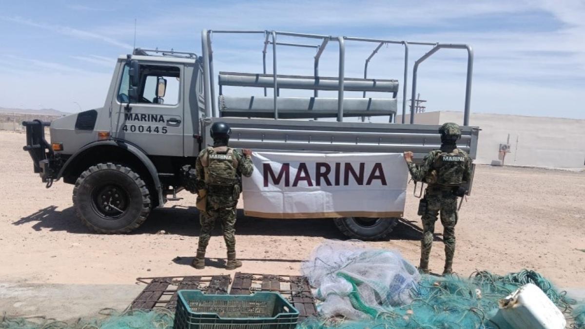 Semar asegura herramientas de pesca prohibidas en Sonora