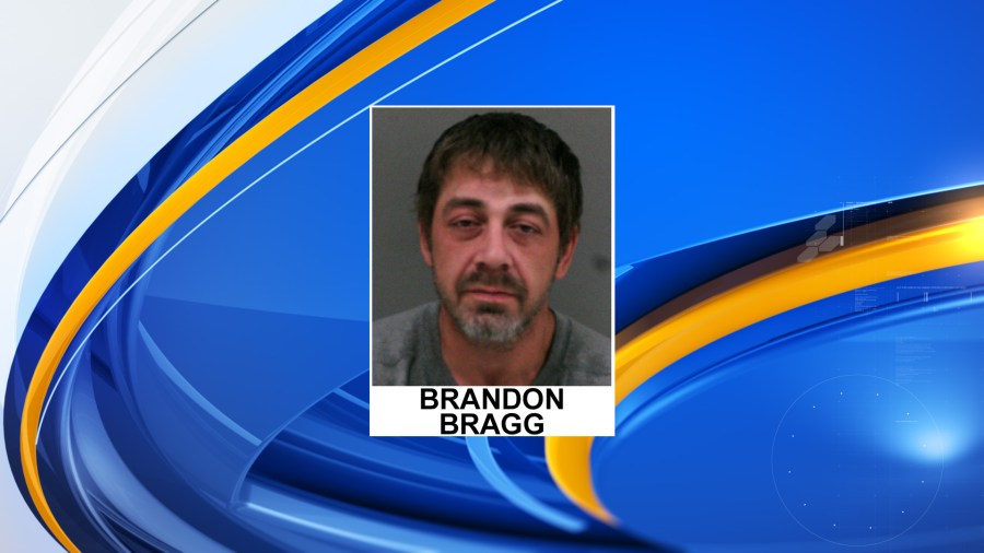 Mingo County man charged with felony theft and hit-and-run