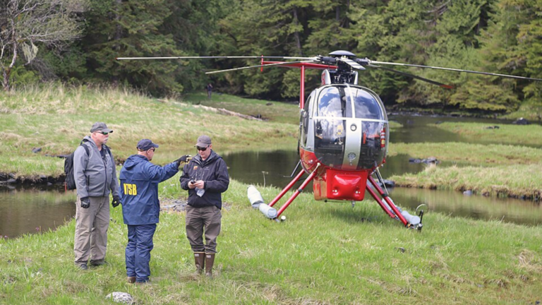 Court allows Alaska wildlife agents to cull bears from helicopters ...