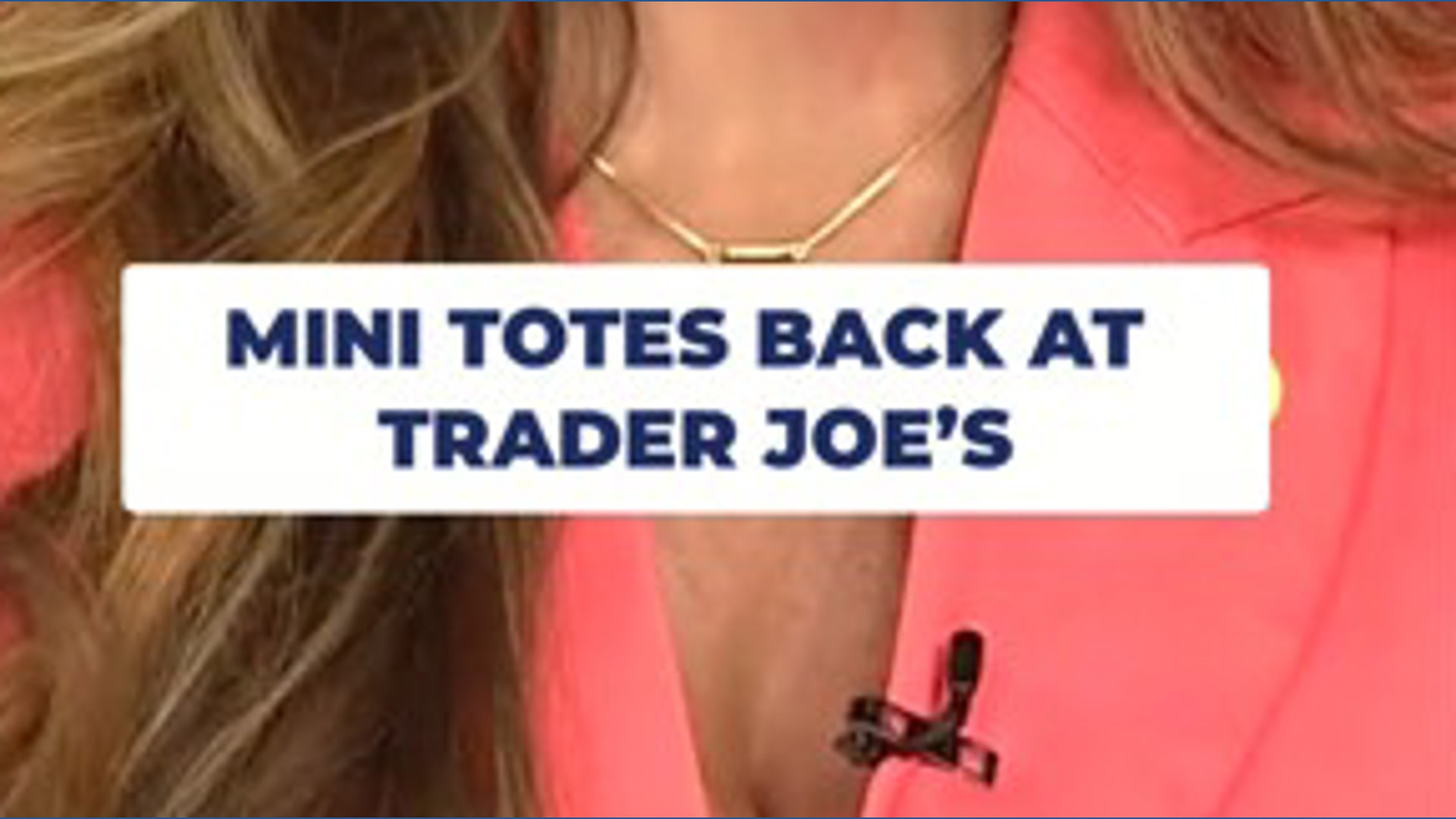 Insulated mini totes back at Trader Joe’s