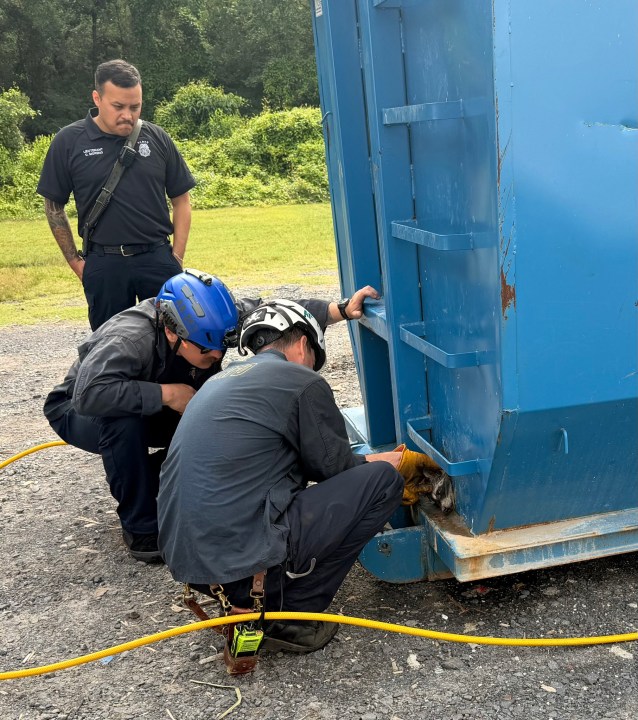 Rocket the raccoon saved after getting head stuck in dumpster in North ...