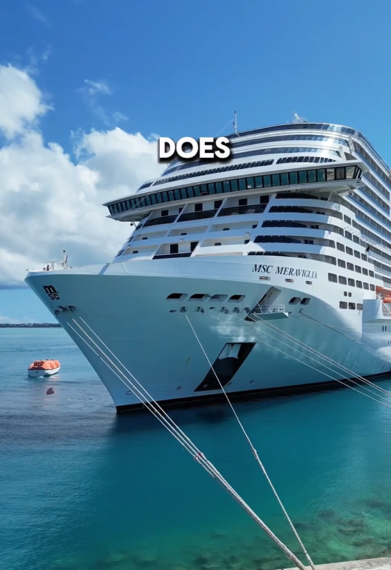 How much does it cost to run a cruise ship explained