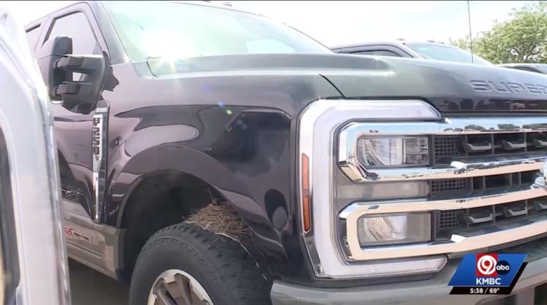 Robin flips Ford dealer the bird by making its nest in a sold F-250