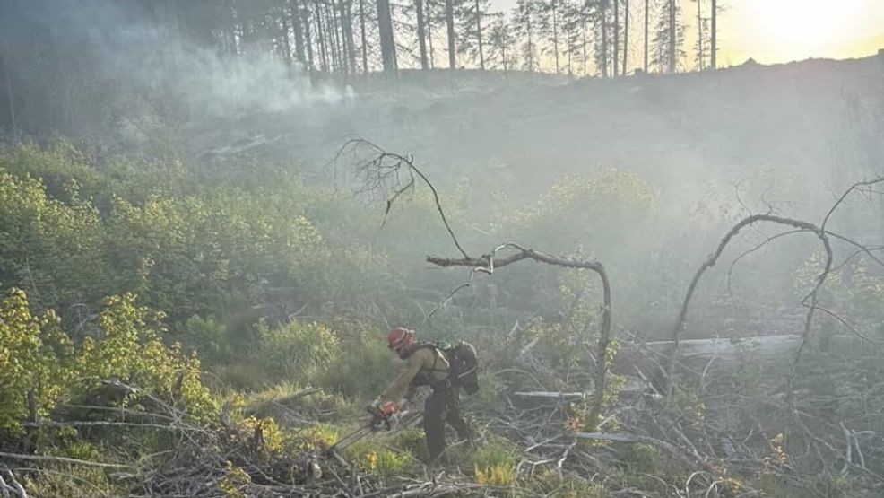 Wildland crews contain 2-acre fire southeast of Tiller after smoke ...