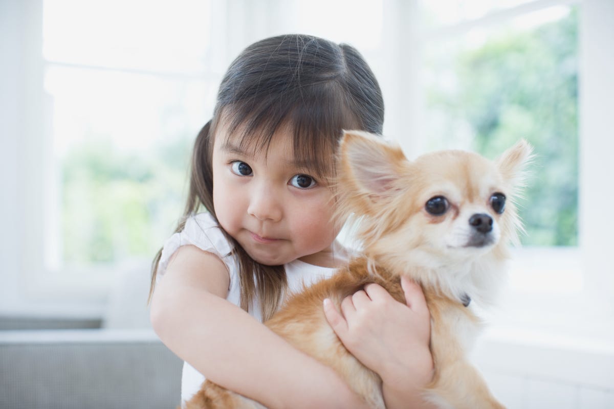 These trendy girl dog names are catching on fast