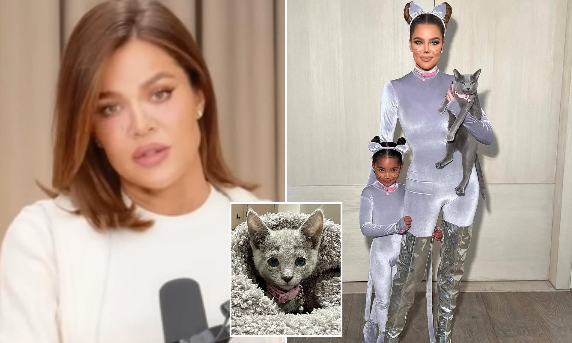 Khloe Kardashian condemned after putting cats through 'cruel' surgical ...