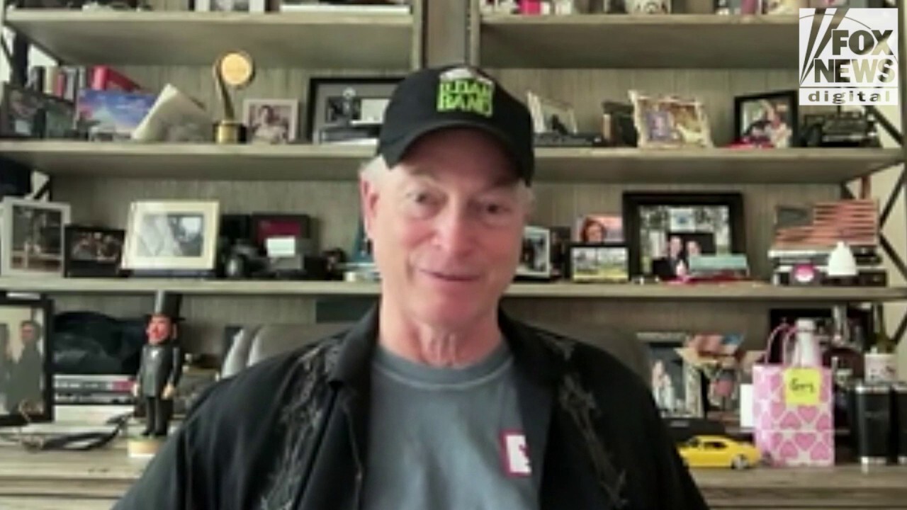 Gary Sinise says money would be ‘moving a lot faster out the door’ if ...