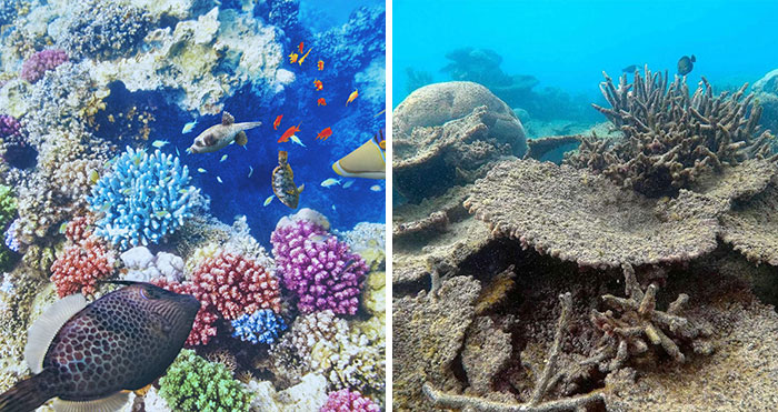 33 uncomfortable nature photos for the 10 year challenge