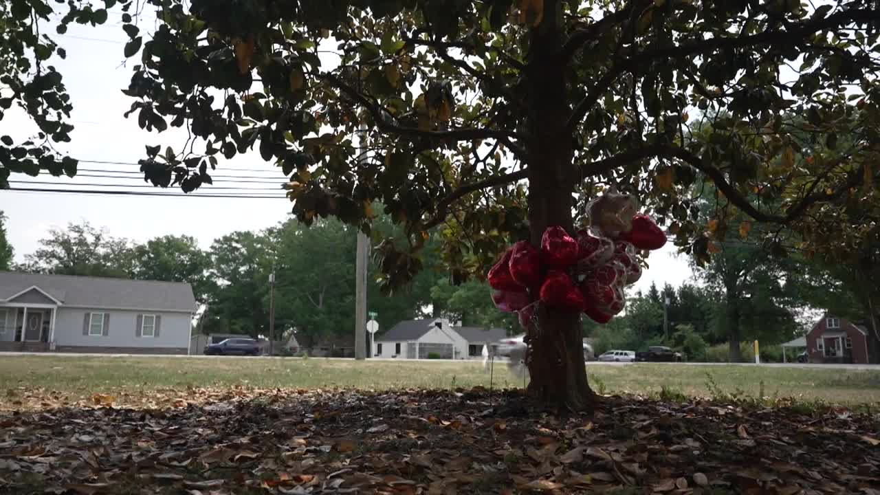 Scene video: Teen killed in crash during Hopewell police pursuit