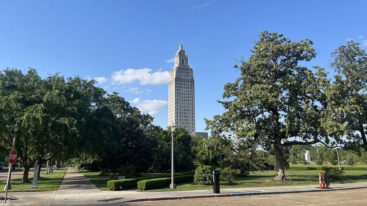 LA Gator funding, salary increases for judges cut from state budget