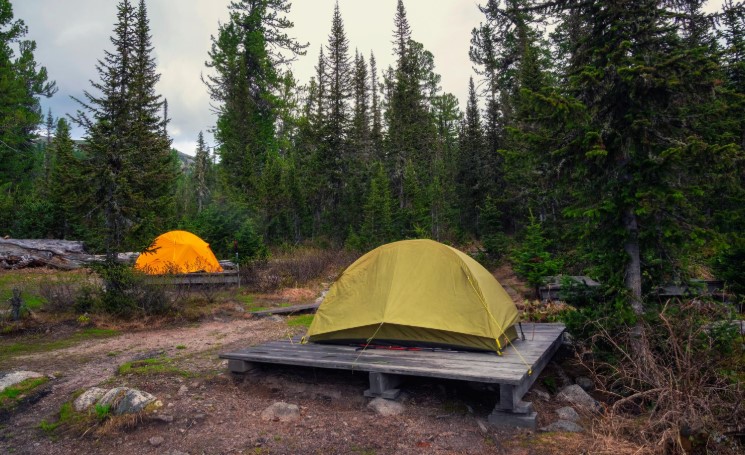 Heading to a national park this summer? 10 items rangers will ...