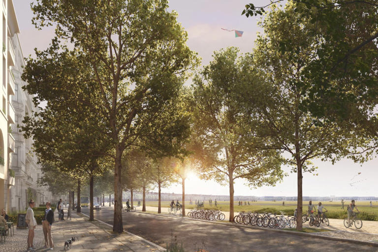 Wegner begeistert: Sieht das Tempelhofer Feld bald so aus?