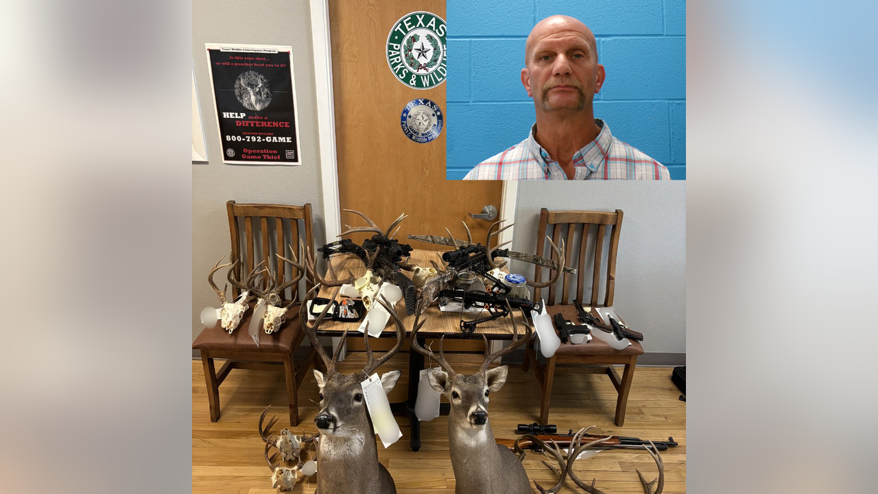 Texas game wardens say man illegally killed 13 deer, left carcasses to ...