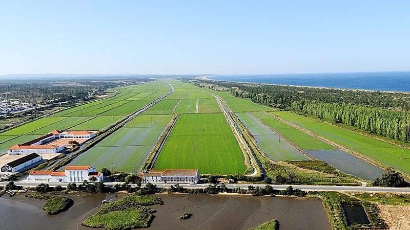 Mother arrested after two French boys found abandoned in Portugal ...