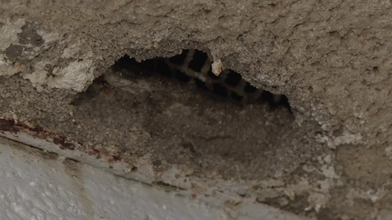 Rutland Civic Center to be renovated, have asbestos removed