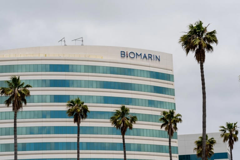 BioMarin reveals dwarfism study data, stock soars