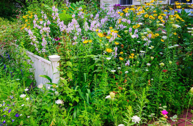 Say goodbye to boring grass—landscapers say these 6 trends will be on ...