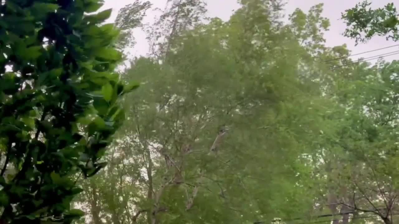 Severe thunderstorms bring strong winds and lightning in Cambridge ...