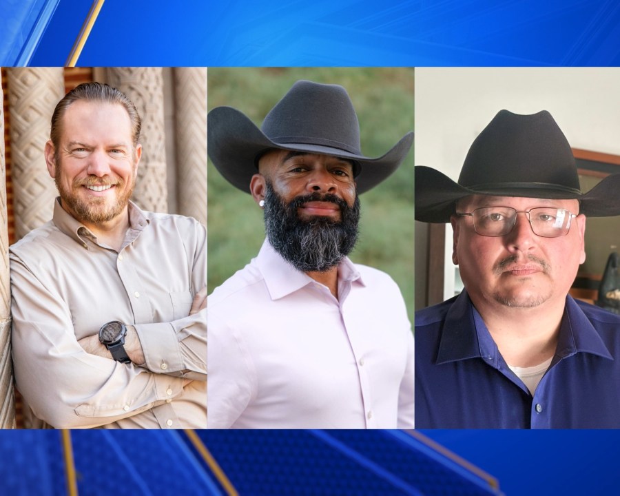 Get to know the candidates: We sent candidates for the California State ...