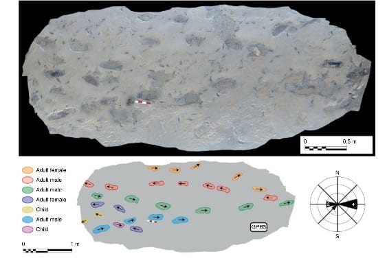 Archaeologists uncover a forgotten superhighway covered with 8,000-year ...