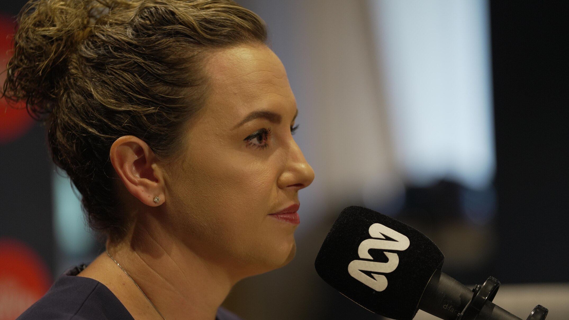Northern Territory Chief Minister dismisses concerns about 'landmark ...