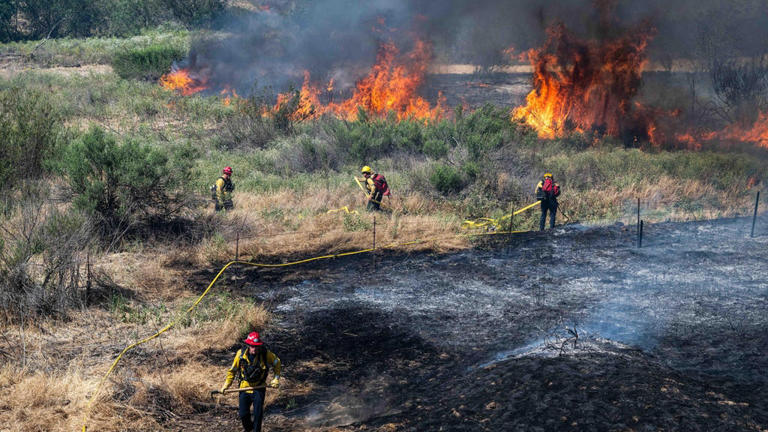 Evacuations lifted as Bain Fire burns nearly 1,500 acres in Riverside ...