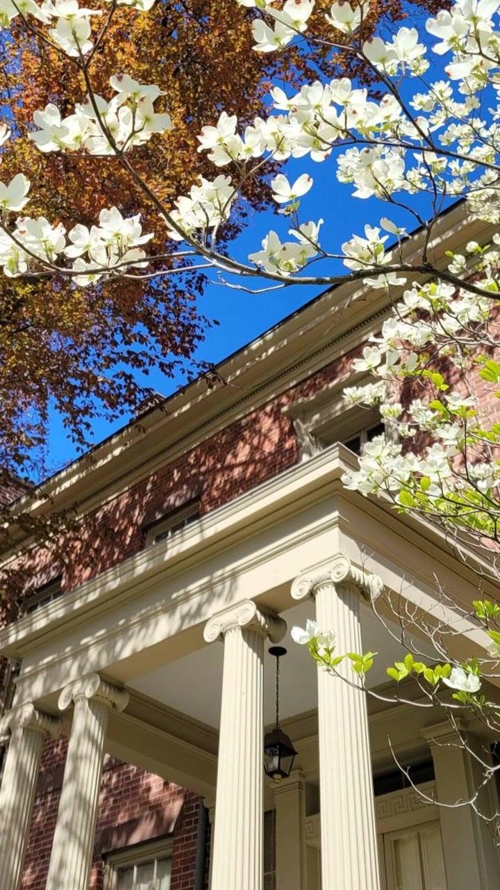 Ten Broeck Mansion floral show blends history, community connection