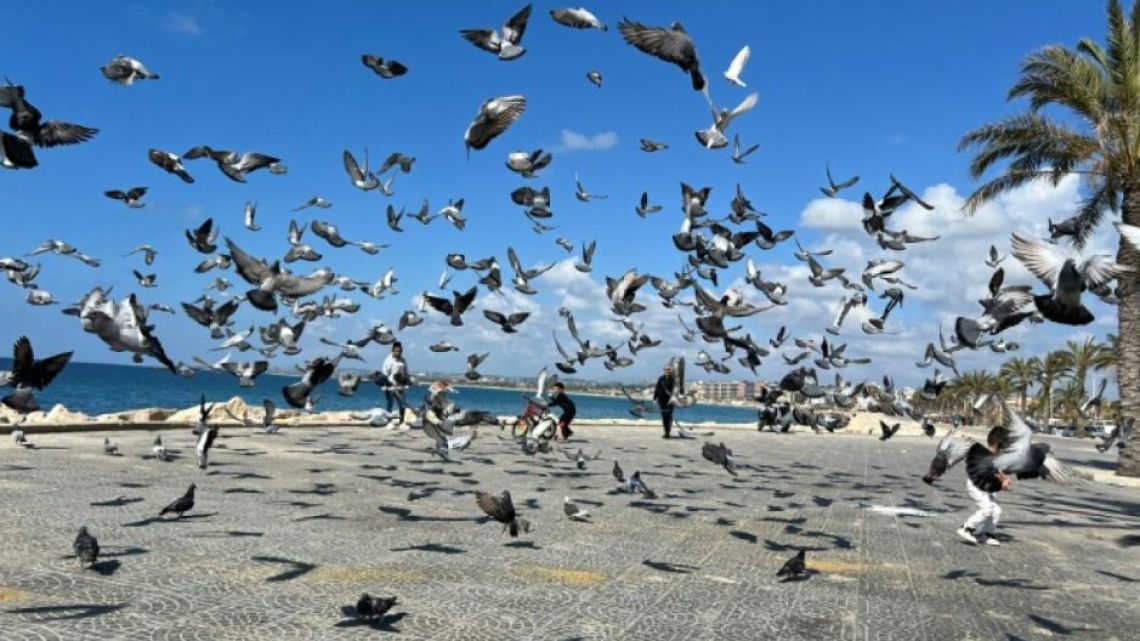 El estudio que revela 3.500 años de historia entre humanos y palomas