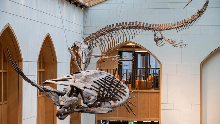 There's a new T rex from the dinosaur age — and it ruled the seas with ...