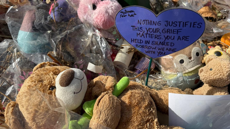 Advocacy groups calling on RCMP to release more information on guns ...