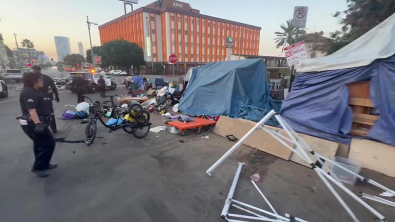Stomach-turning video shows LA homeless encampment overrun by rats near ...