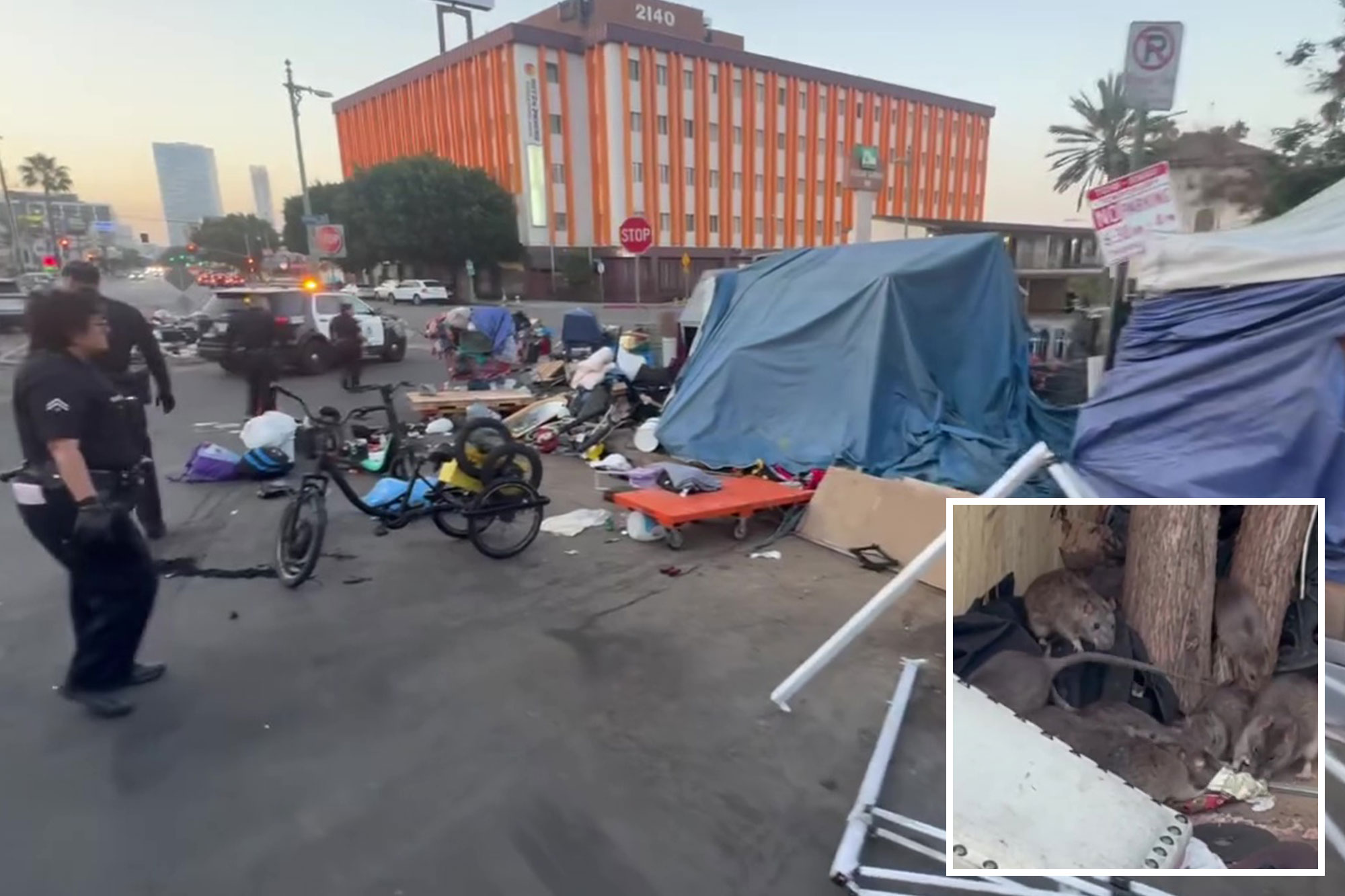 Stomach-turning video shows LA homeless encampment overrun by rats near ...