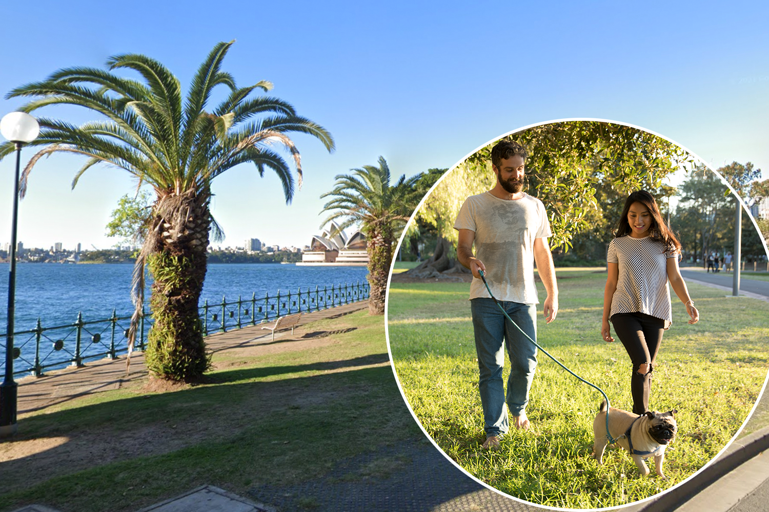 Aussie council asks visitors to pay $300 for dog walking, events amid ...