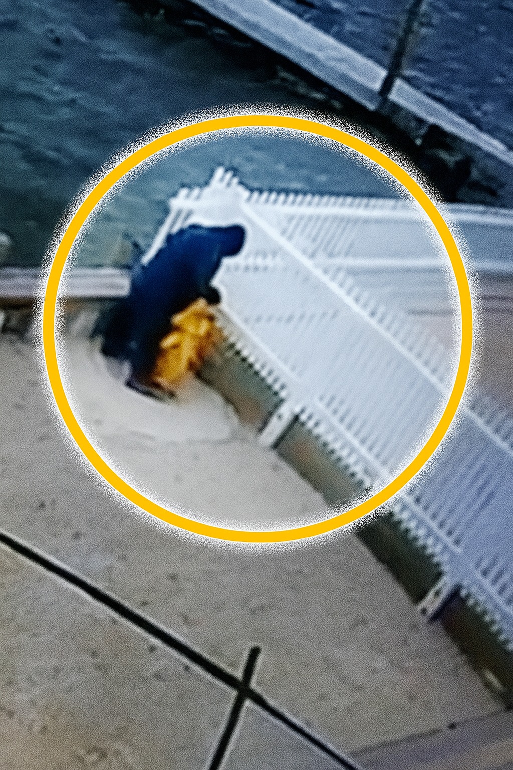 Caught on camera